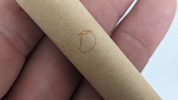 DotMod Dot E Disposable Vape Review -High End Flavour for New Vapers?