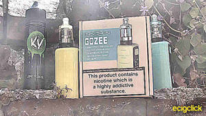 Innokin Gozee Kit Review - Feather Weight? Almost! - Ecigclick